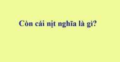 Còn cái nịt là gì? Ý nghĩa và nguồn gốc của cụm từ này - Chọn giá đúng