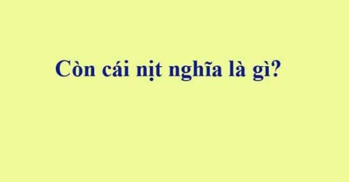 Còn cái nịt là gì? Ý nghĩa và nguồn gốc của cụm từ này - Chọn giá đúng