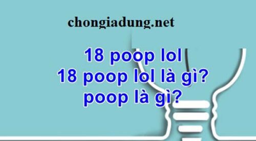 Tìm hiểu 18 poop lol nghĩa là gì? - Chọn giá đúng